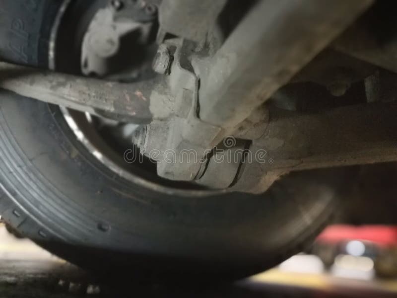 Bone Running Gear Stock Photos - Free & Royalty-Free Stock Photos from ...