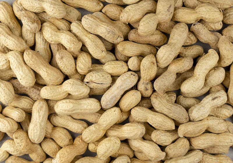 Close-up of Unpeeled Peanuts, Top View, Peanut Background. Stock Image ...
