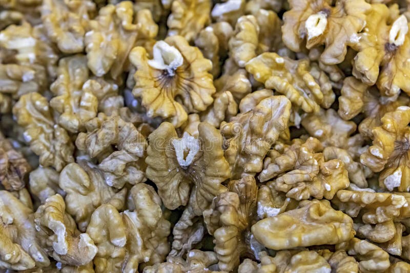 Unshelled walnuts stock image. Image of ingredient, snack - 19904125