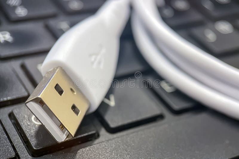 Close-Up of USB Cable on Keyboard. Stock Image - Image of isolated ...