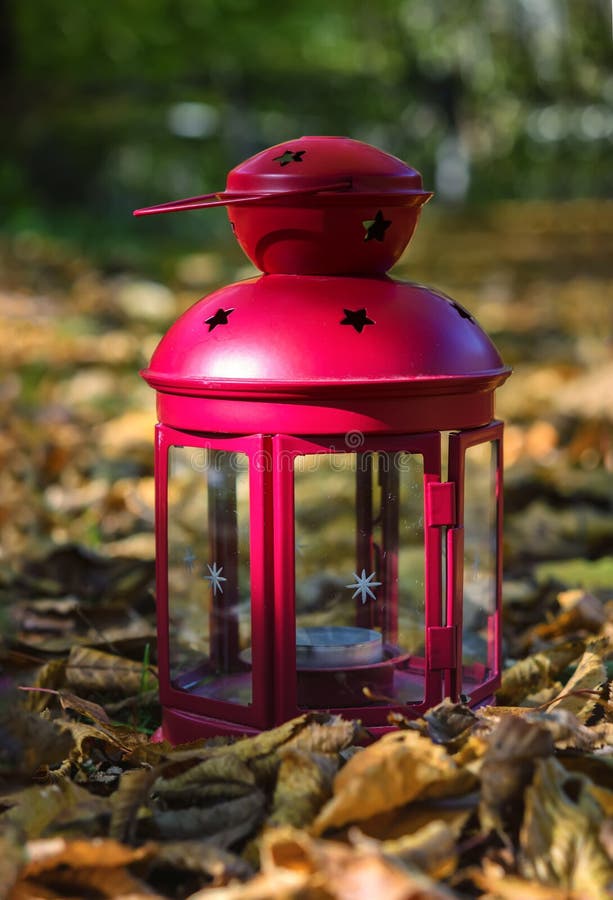 Close-up Van Rode Lantaarn Op De Herfstbladeren in Het Bos Stock Foto ...