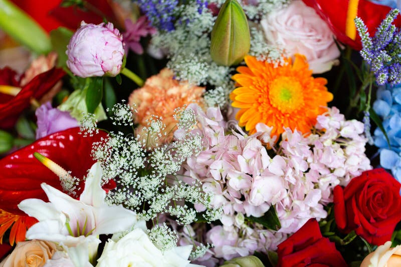 Beautiful Background of Various Fresh Flower Combinations Stock Image ...