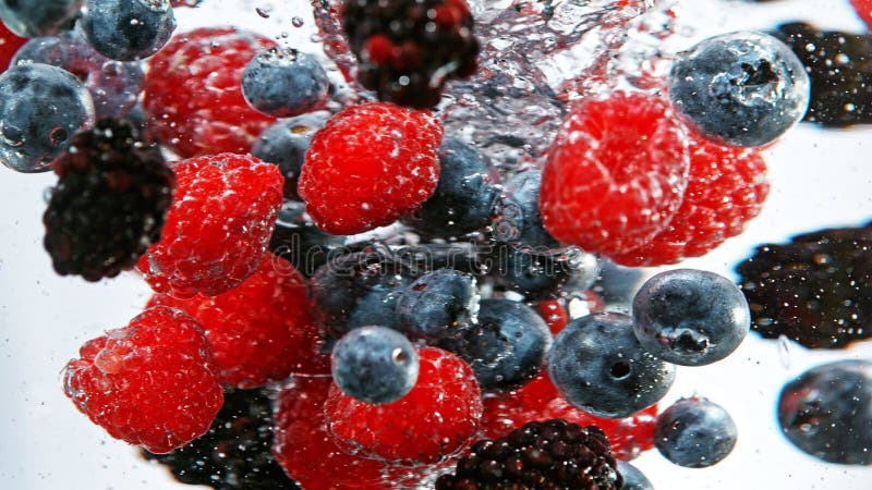 Close Up of Various Kind of Berries in Water Stock Photo - Image of ...