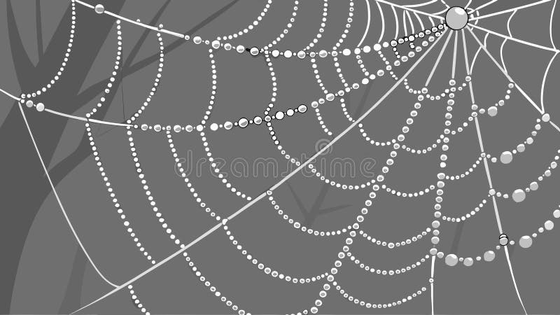 Spider Web Close-up, Detailed Threads, Vector Design Generative AI ...