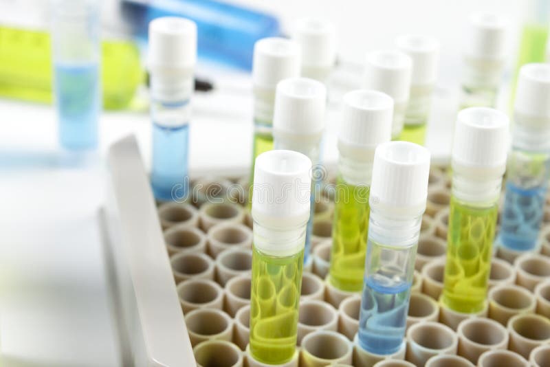Close Up of Vials in a Rack Containing Colored Fluids Stock Image ...