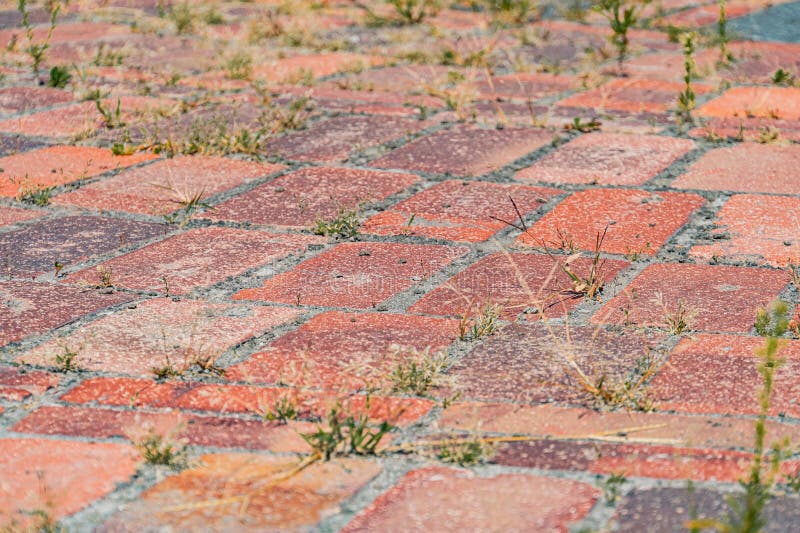 Close-up View of Aged, Weathered Brick Pavement in a Herringbone ...