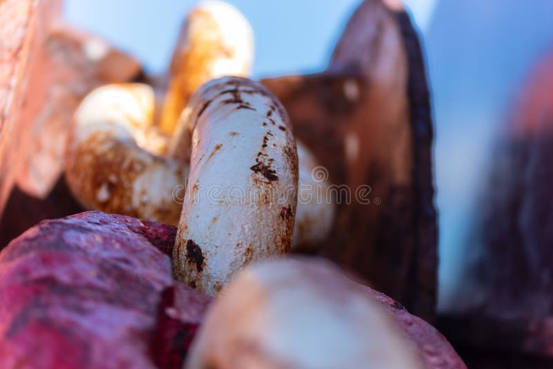 Close Up View of an Anchor Chain of the Large Cargo Ship. Stock Photo ...