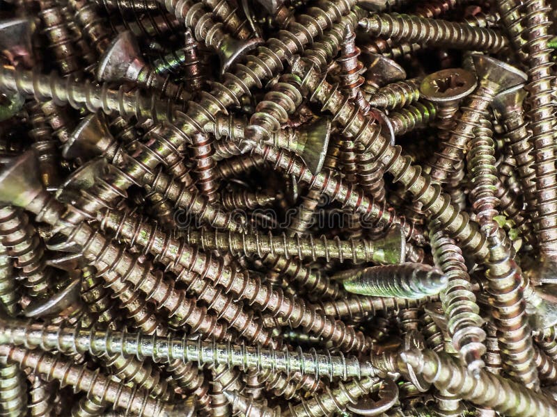 Close-up View of Assorted Screws in Various Sizes and Styles for ...