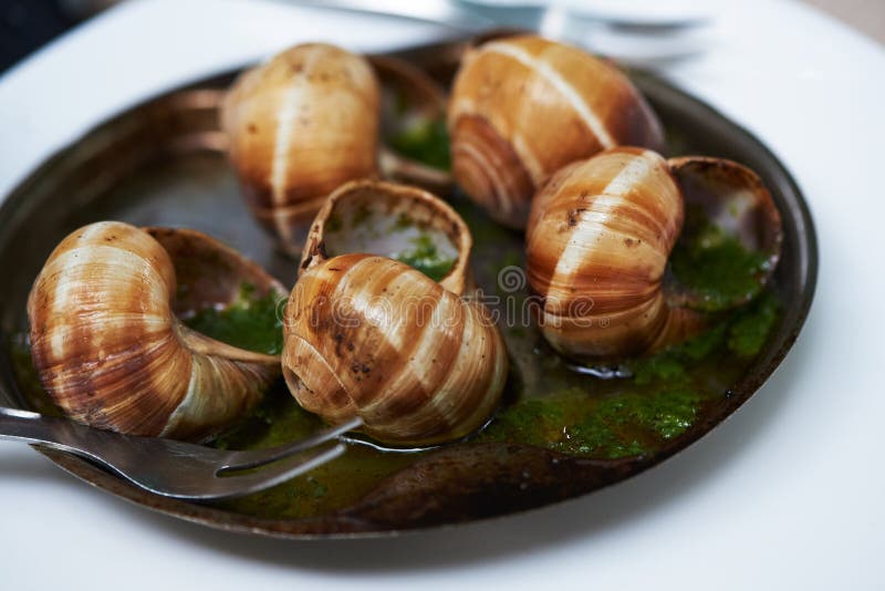 Close-up View of Baked Snails with Garlic Butter Stock Photo - Image of ...