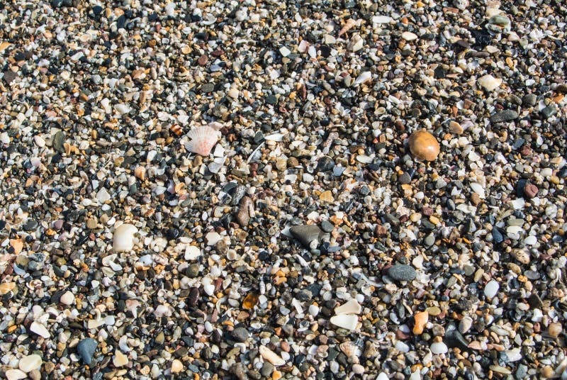 Close Up View of Beach with Small Stones, Sand and Shells Stock Image ...