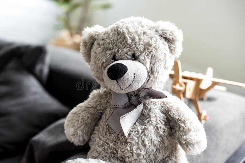 Close-up View of Beautiful Grey Teddy Bear Stock Photo - Image of small ...