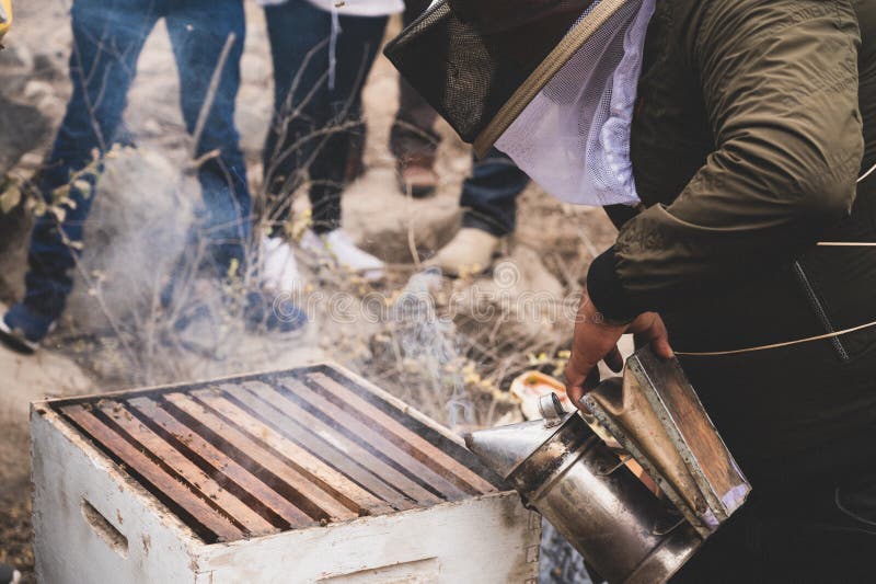 Beekeeper Working with Smoker at Hive Stock Photo - Image of outdoor ...