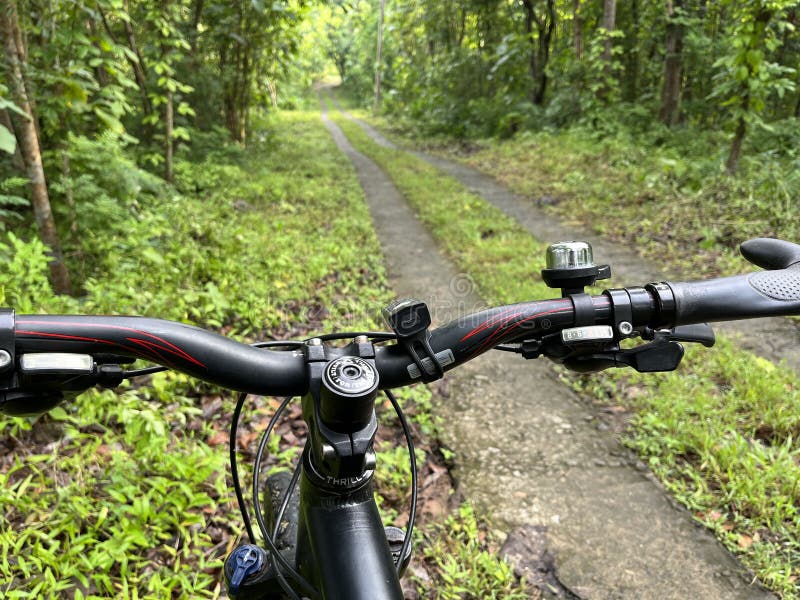 Close Up View of Bicycle Handlebar in a Forest Editorial Stock Image ...
