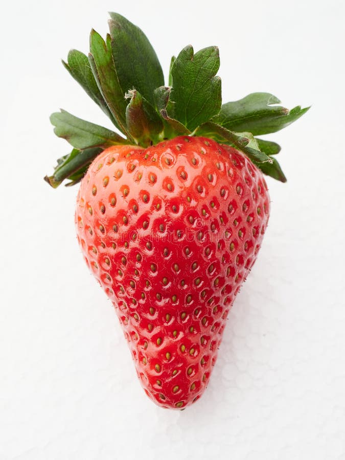 Close Up View of a Big Real Strawberry Stock Image - Image of vesca ...
