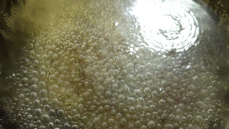Boiling Liquid Surface with Rising Bubbles in Golden Light Stock Video ...