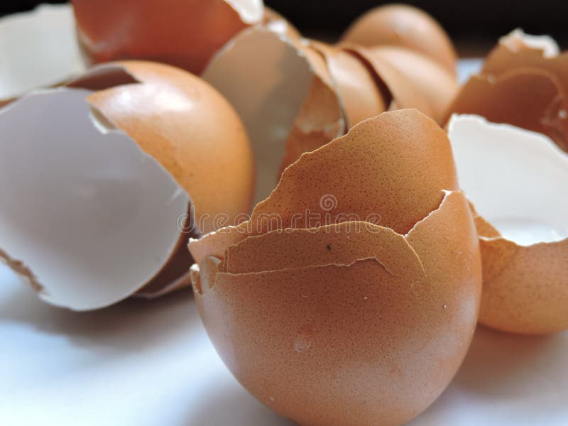 Broken Eggshells on a White Colour Background Stock Photo - Image of ...