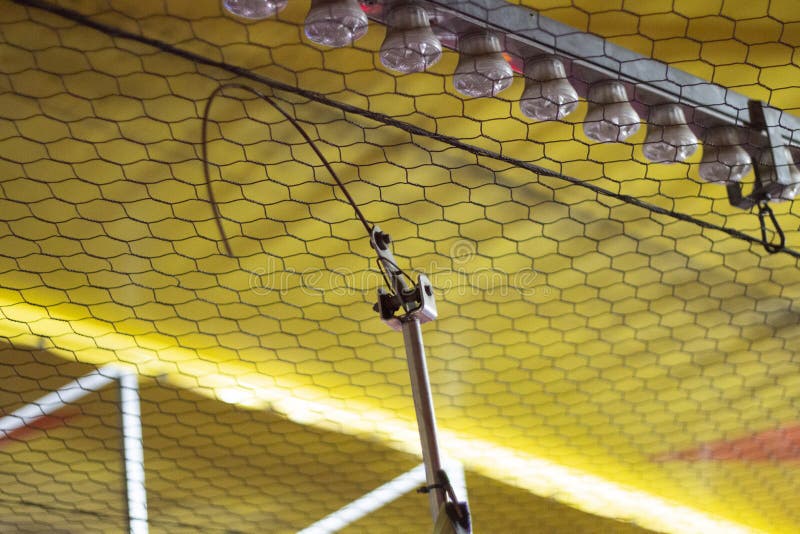 Bumper Car Thrill Ride Ceiling Stock Photo - Image of childhood, kids ...