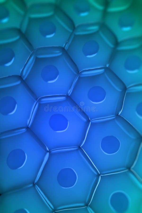 Human Cell Wall Structure Stock Illustrations – 331 Human Cell Wall ...