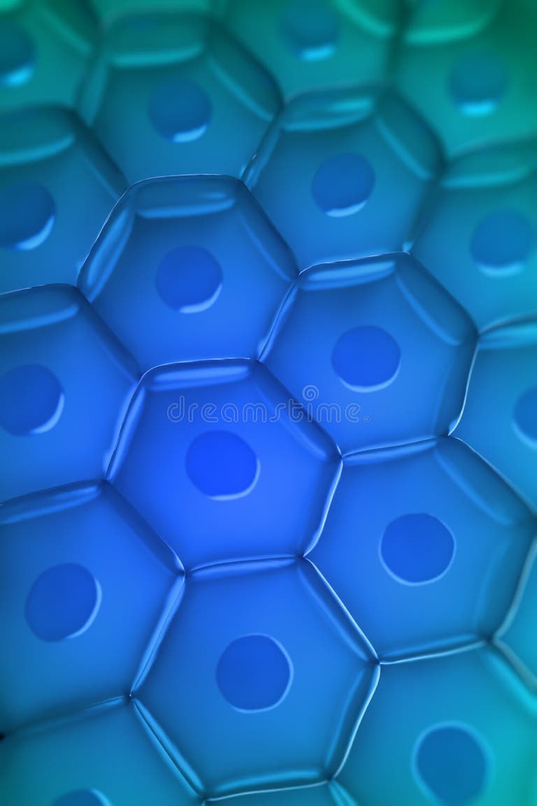 Cell Wall Stock Illustrations – 44,589 Cell Wall Stock Illustrations ...