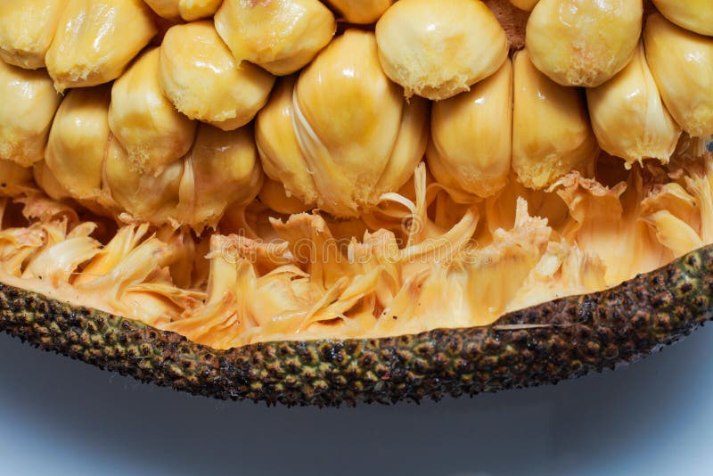 Cempedak fruit stock image. Image of left, cempedak - 124786901