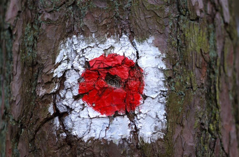 Close-up View of a Circular Marking Consisting of Outer White Ring and ...