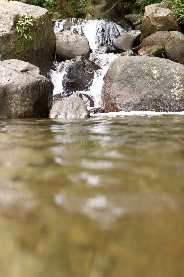 Close-up View of Clear Water Cascading Down River Rocks Stock Photo ...