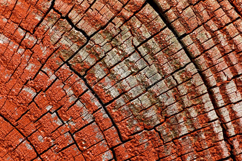 Close Up View of Cut Section of Wood with Red Paint Stock Image - Image ...