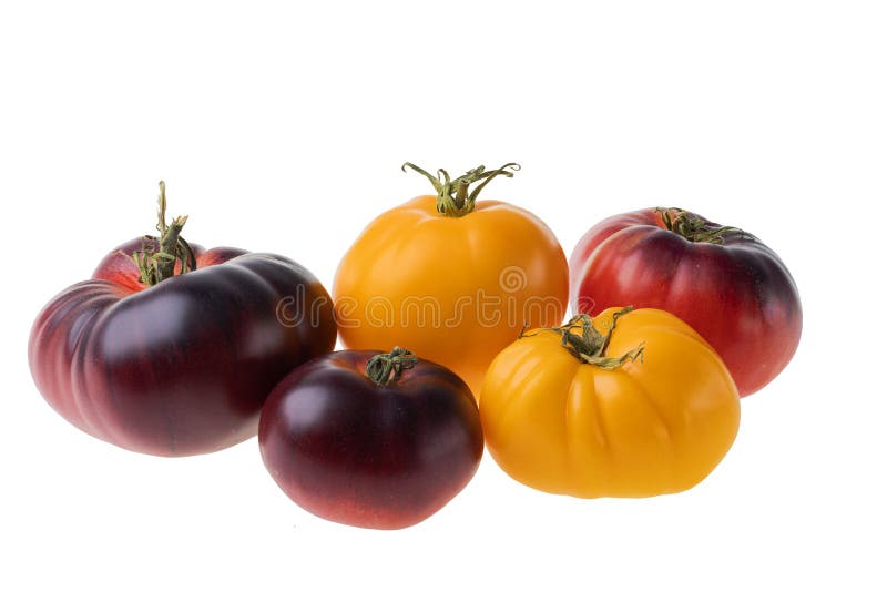 Close Up View of Different Varieties of Tomatoes Isolated on White ...