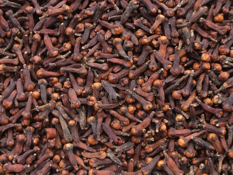 Close-up View of Dried Blackish Brown Cloves Stock Photo - Image of ...