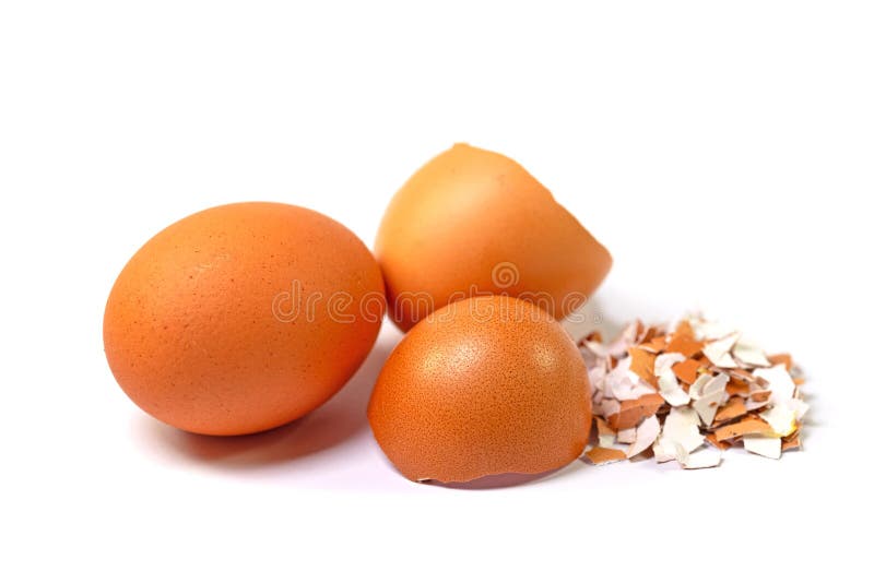 Close-up of Egg and Crushed Eggshells Stock Image - Image of organic ...