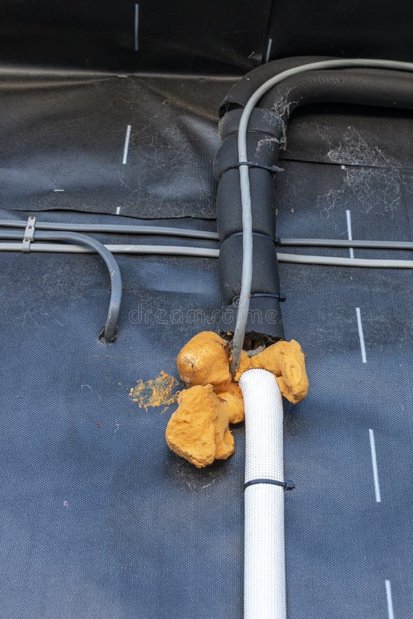 Outside Cables stock image. Image of electic, build - 209041473