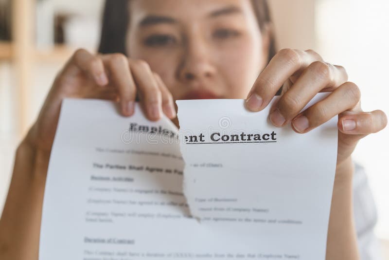 Close Up View of Employee Tearing a Contract Paper Stock Photo - Image ...