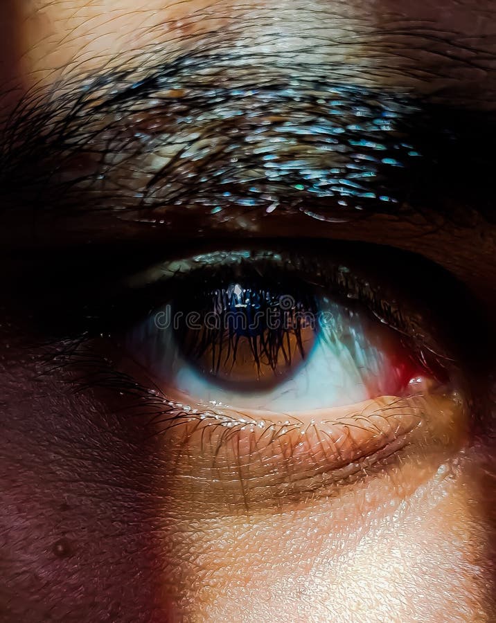 A Close Up View of the Human Eye with Reflection of the Eyebrows in the ...