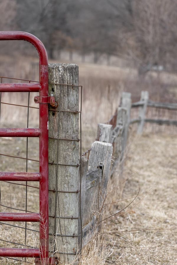 Close Up View of Fence in the Middle of Farm during Spring Time Stock ...