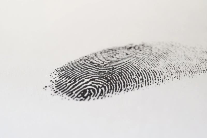 Close-up View of a Fingerprint on a Clean White Background Showcasing ...