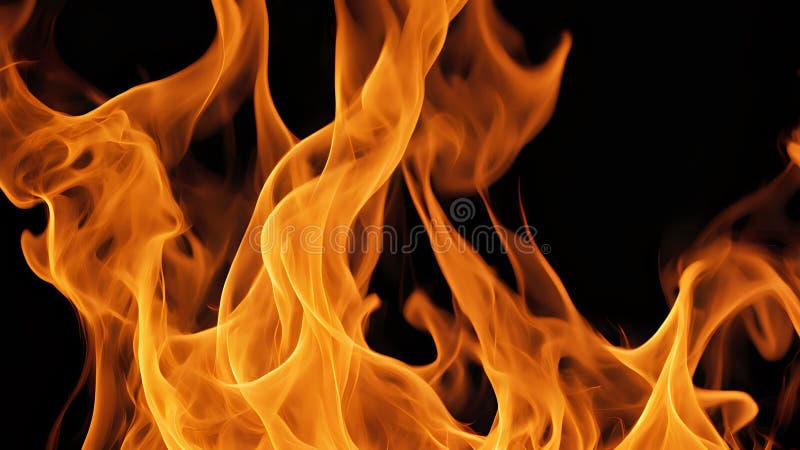 Close-up View of Fire Flames Rising Against a Dark Background Stock ...