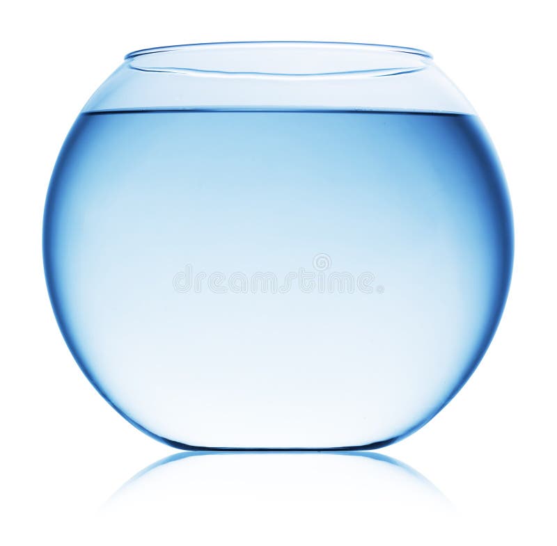 Close Up View of Fish Bowl Isolated Stock Photo - Image of nature ...