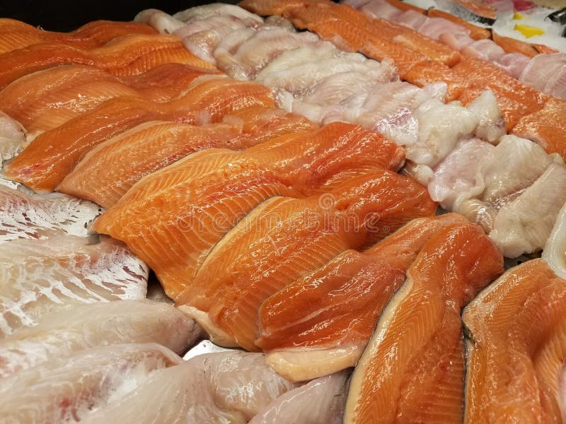 Fish counter stock photo. Image of meal, shop, fillet - 144664720