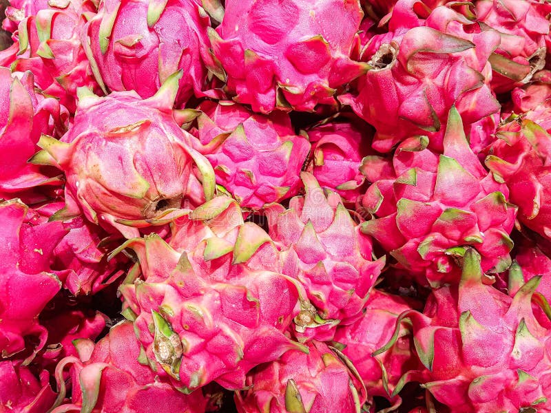 Top View a Lot of Fresh Dragon Fruit or Buah Naga Stock Photo - Image ...
