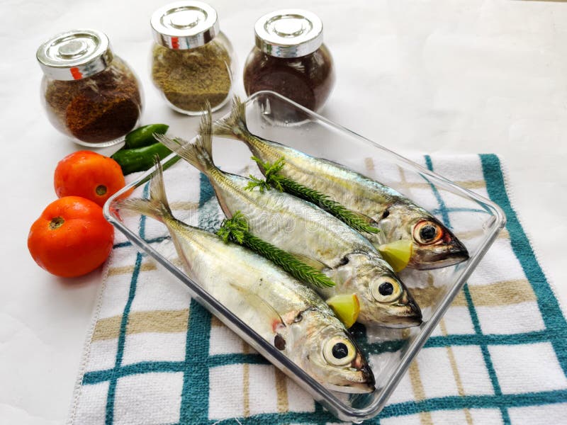 Ayala Fish Stock Photos - Free & Royalty-Free Stock Photos from Dreamstime