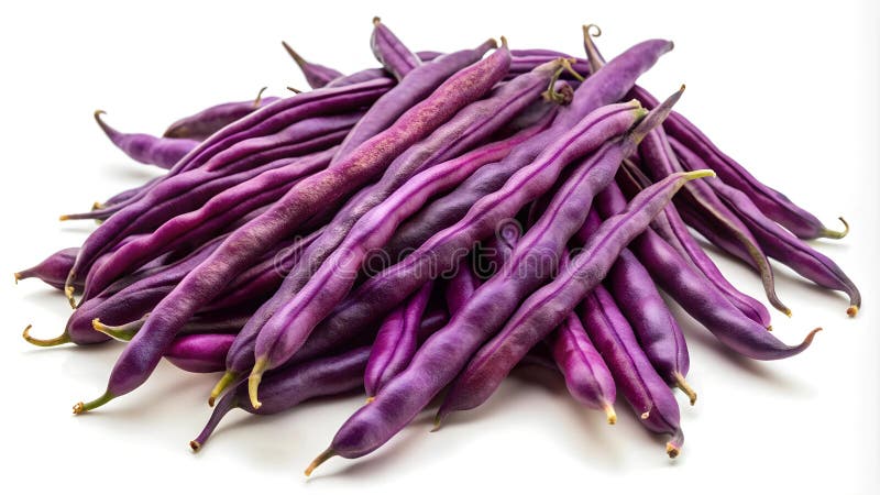 A Close-Up View of Fresh, Raw Purple String Beans Against a Pristine ...