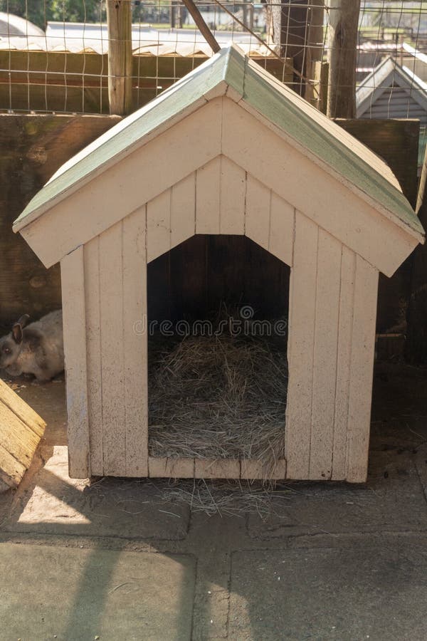 A Rabbit house stock image. Image of bunny, dirt, food - 159674439