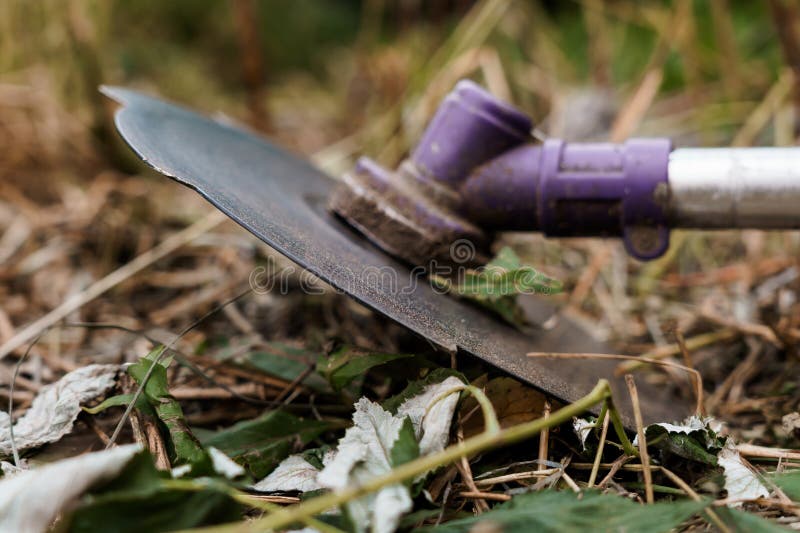 Close-Up View of a Garden Tool Engaged in Cutting Overgrown Grass and ...