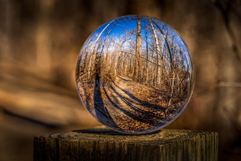 Close-up View of a Glass Sphere Reflecting the Dry Forest Scene Stock ...