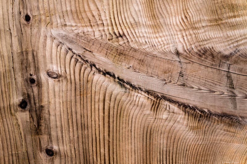 Close Up View about the Grana of a Tree Plank Stock Image - Image of ...