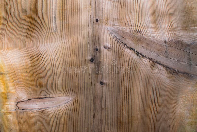 Close Up View about the Grana of a Tree Plank Stock Image - Image of ...