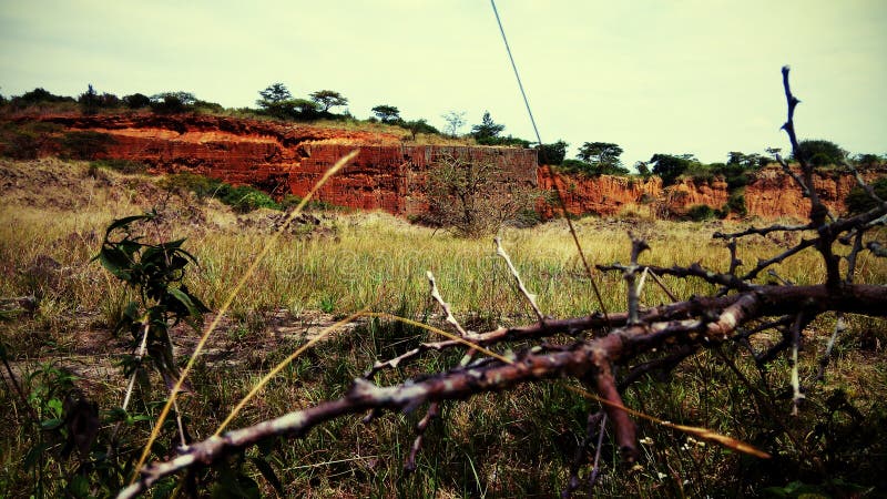 Green Mountain Mining Trees Grass Stock Image - Image of trees, mining ...