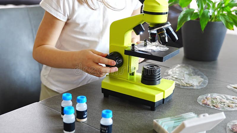 Close Up View of Hands of Little Girl Preparing a Sample for Microscope ...