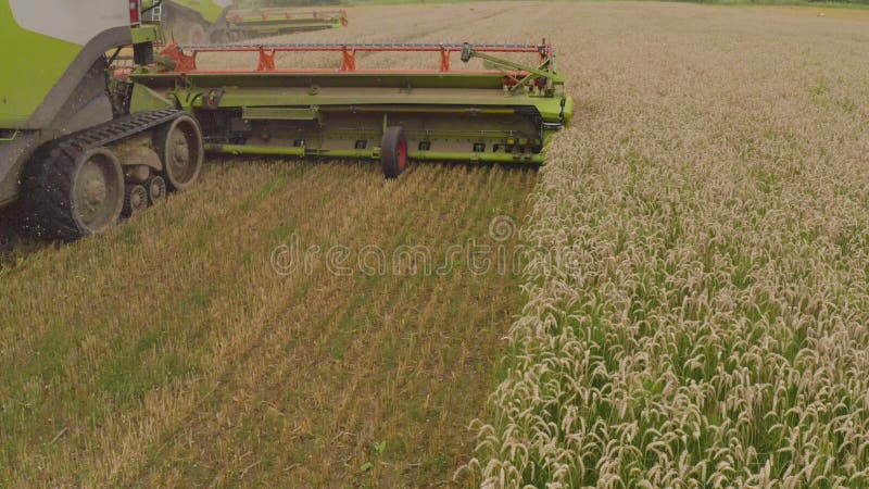 A Close-up View of a Harvester Cutting Wheat in a Field. Stock Image ...