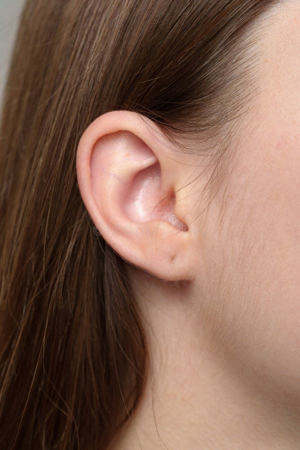 Close-Up View of a Human Ear and Brown Hair Stock Photo - Image of ...